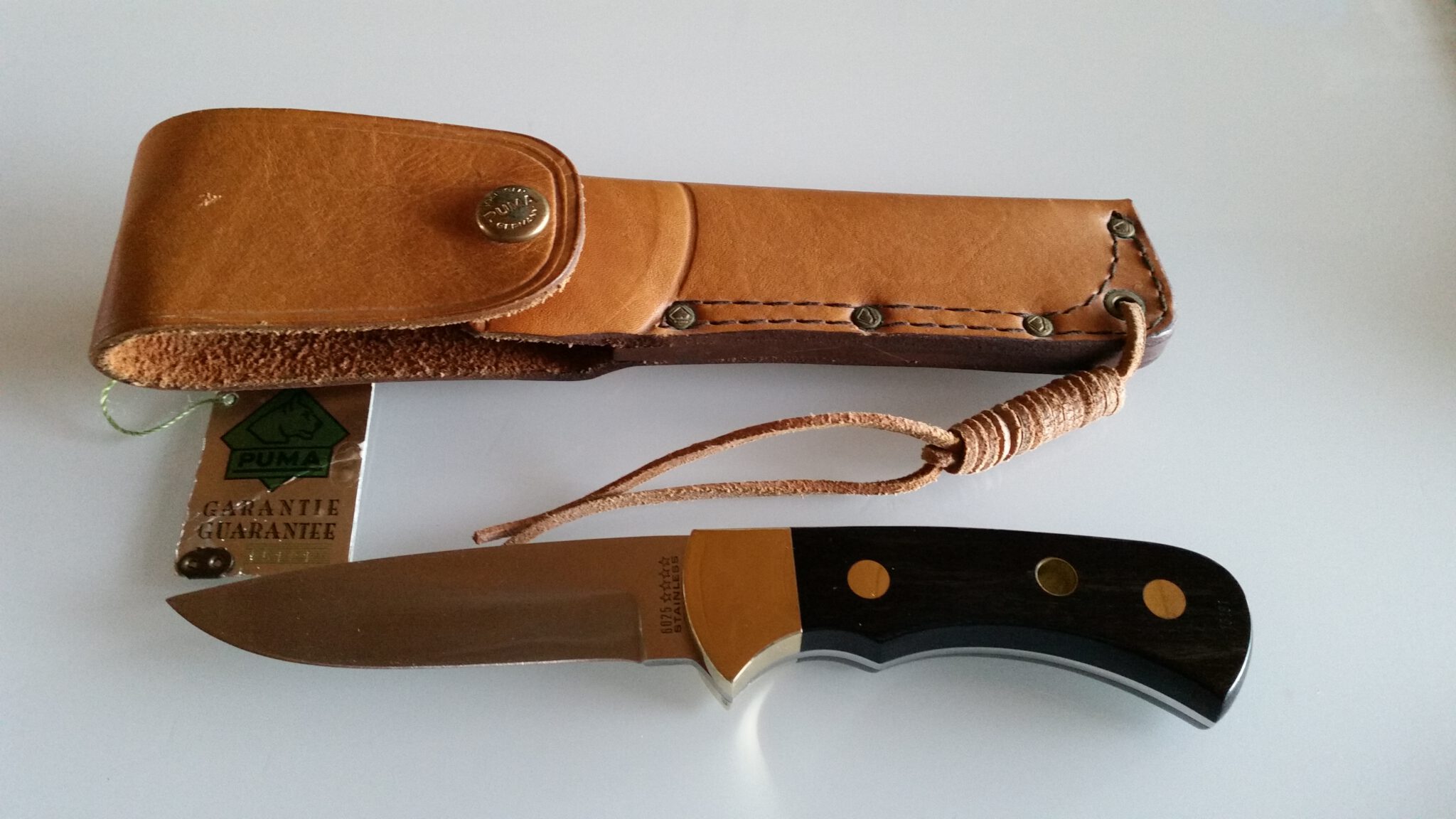 Puma Solingen – Big-Cat-Knives